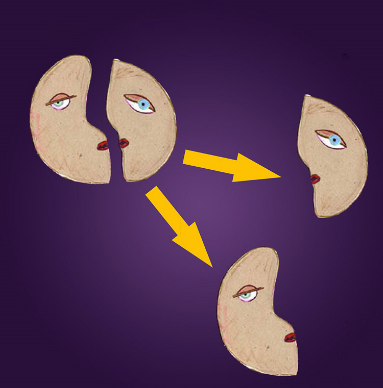 Kwarki, leptony i leptokwarki.