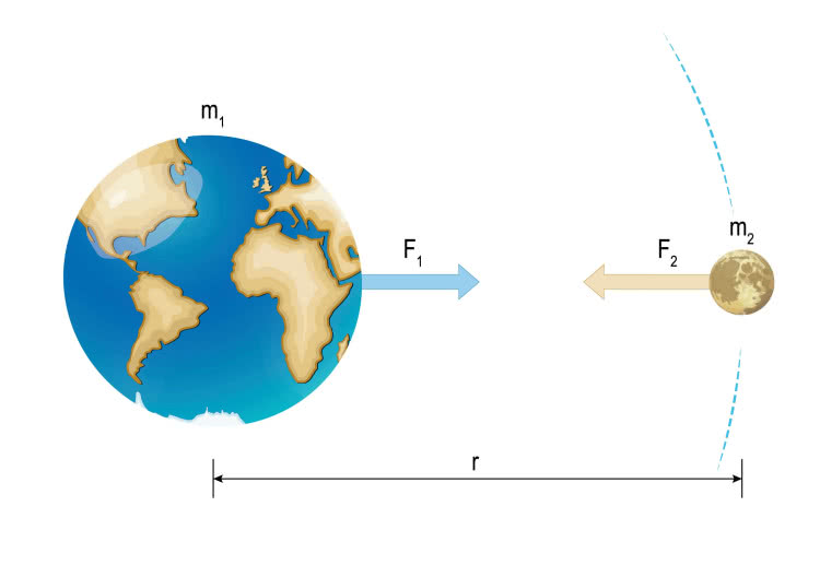 Kosmiczne orbity: Jak siła grawitacji kształtuje ruch ciał niebieskich