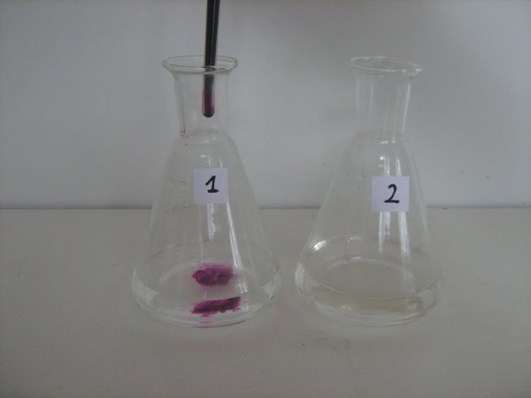 Kataliza homogeniczna